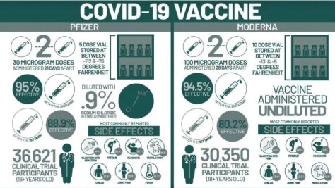 Covid-19 Infographic: Pfizer Vs Moderna | Boomers Daily