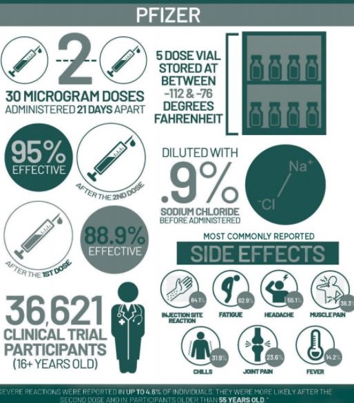 Covid-19 Infographic: Pfizer Vs Moderna | Boomers Daily