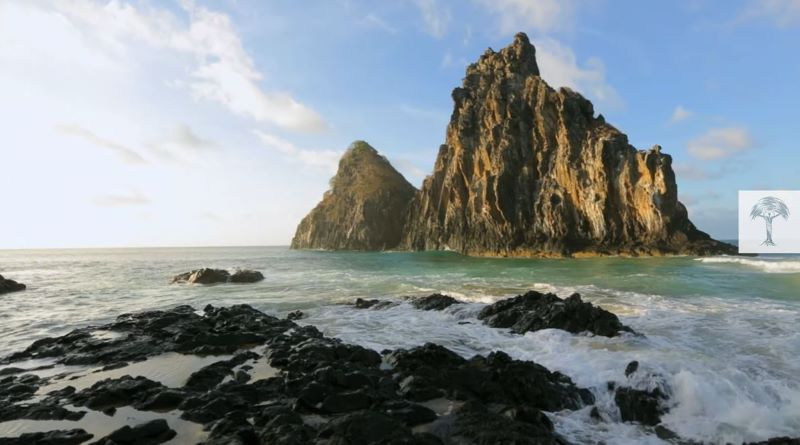 Marine Wildlife: ‘Crabs, Eels & Octopuses’ Off The Coast Of Brazil ...