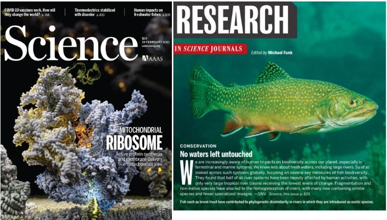 TOP JOURNALS: RESEARCH HIGHLIGHTS FROM SCIENCE MAGAZINE (FEB 19, 2021 ...