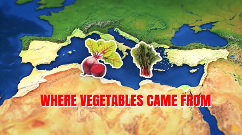 History Of Food: ‘Where Vegetables Came From’ | Boomers Daily