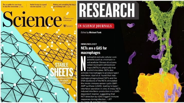 TOP JOURNALS: RESEARCH HIGHLIGHTS FROM SCIENCE MAGAZINE (MAR 12, 2021 ...