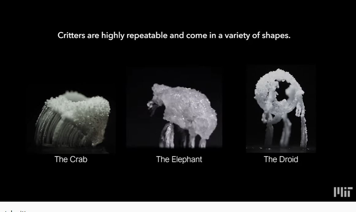 Science: Salt Water Evaporation Creates “Crystal Critters’ (MIT ...