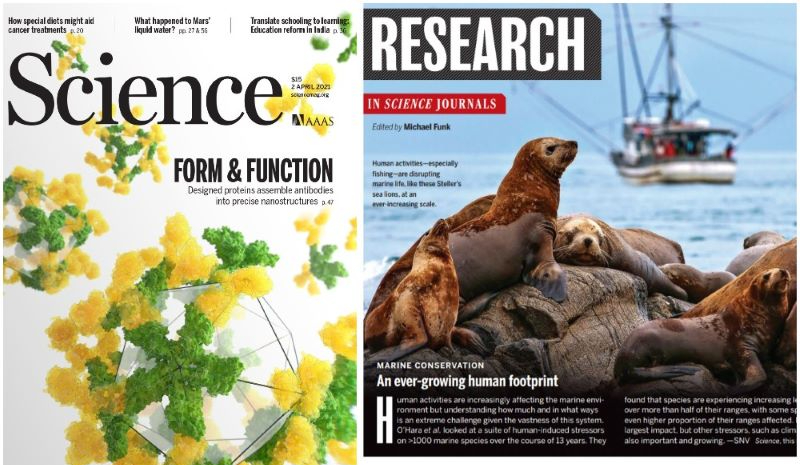 TOP JOURNALS: RESEARCH HIGHLIGHTS FROM SCIENCE MAGAZINE (April 2, 2021 ...