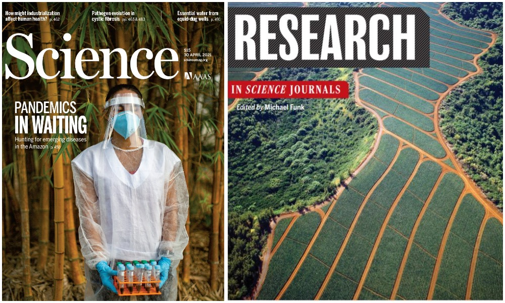 TOP JOURNALS: RESEARCH HIGHLIGHTS FROM SCIENCE MAGAZINE (APRIL 30, 2021 ...