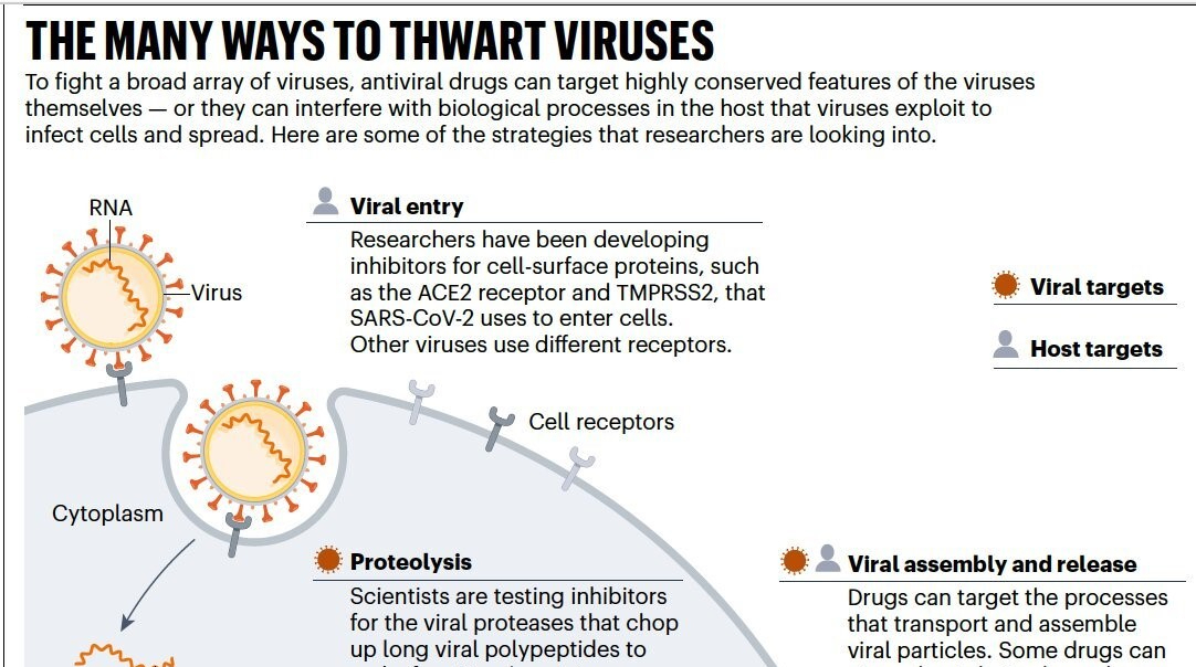 Infographic: ‘The Many Ways To Thwart Viruses’ | Boomers Daily
