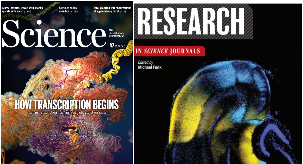 TOP JOURNALS: RESEARCH HIGHLIGHTS FROM SCIENCE MAGAZINE (June 4, 2021 ...