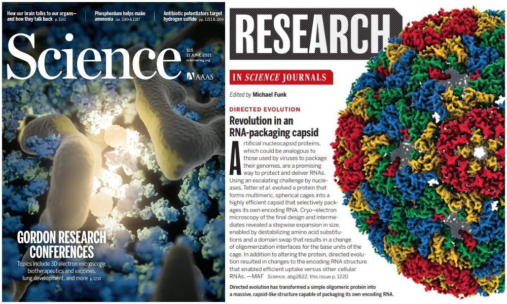 TOP JOURNALS: RESEARCH HIGHLIGHTS FROM SCIENCE MAGAZINE (JUNE 11, 2021 ...