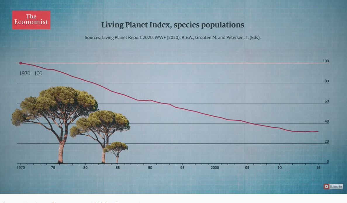 Ecosystems: How To Stop Mass Extinction Of Species | Boomers Daily