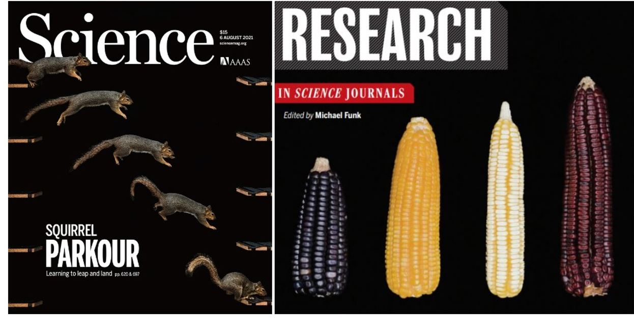Front Covers: Science Magazine – August 6, 2021 | Boomers Daily
