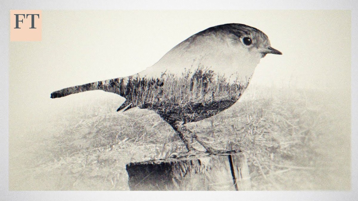 Poetry: ‘To John’ Keats By Inua Ellams (Video) | Boomers Daily