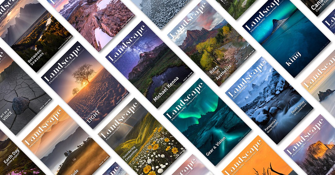 Front Covers: Landscape Magazine – November 2021 | Boomers Daily