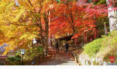 Autumn Views: Gero Onsen Hot Springs In Japan (4K) | Boomers Daily