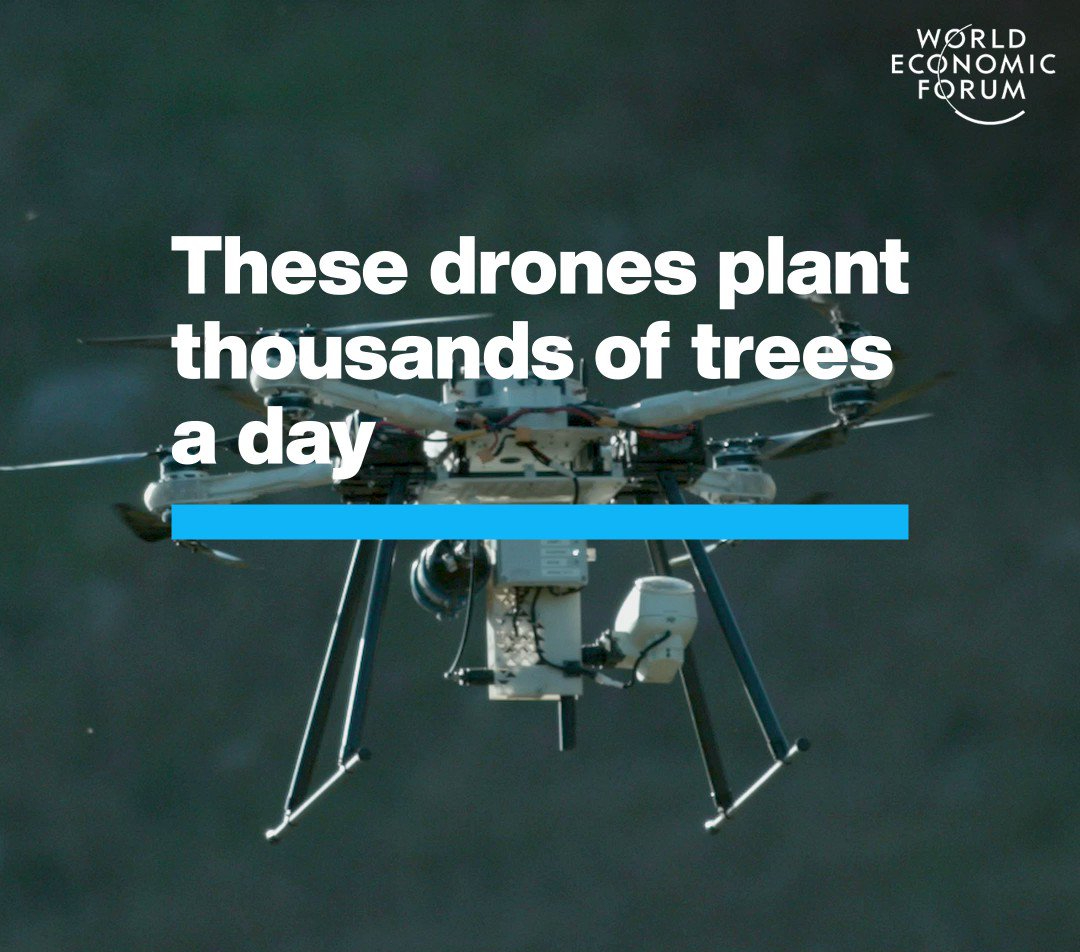 Ecosystems: Seed-Firing Drones Planting Trees | Boomers Daily