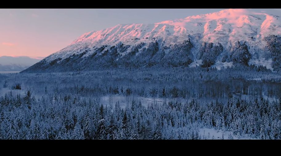 Winter Views: Denali National Park, Alaska (4K) | Boomers Daily