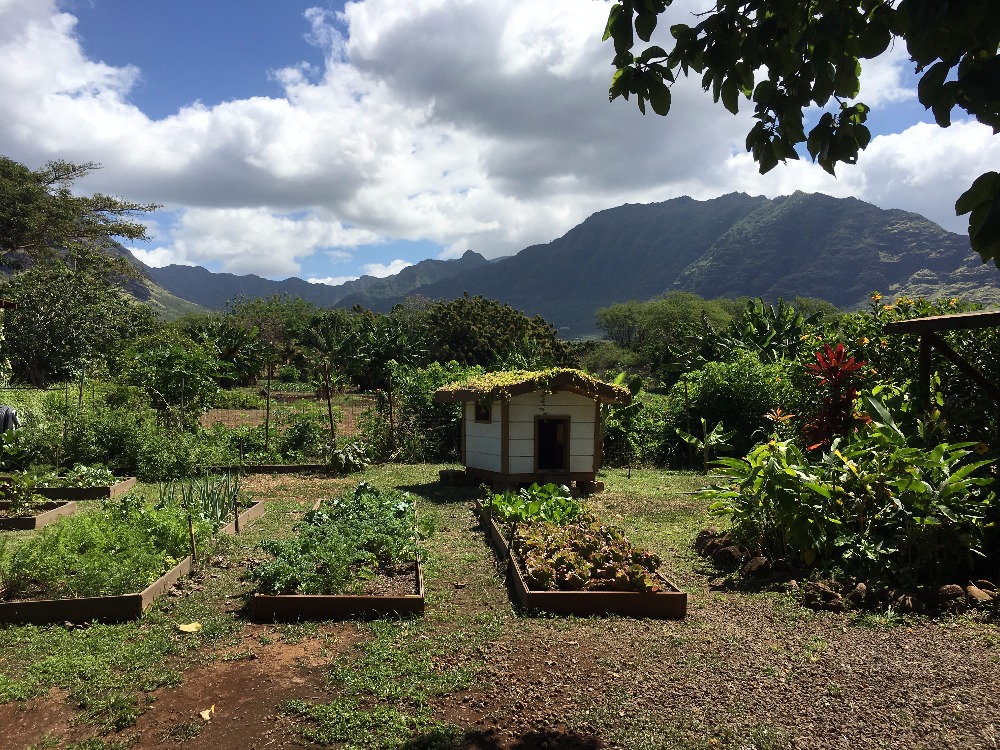 Hawaiian Views: Hoa ‘Āina O Mākaha Farm, Oahu | Boomers Daily