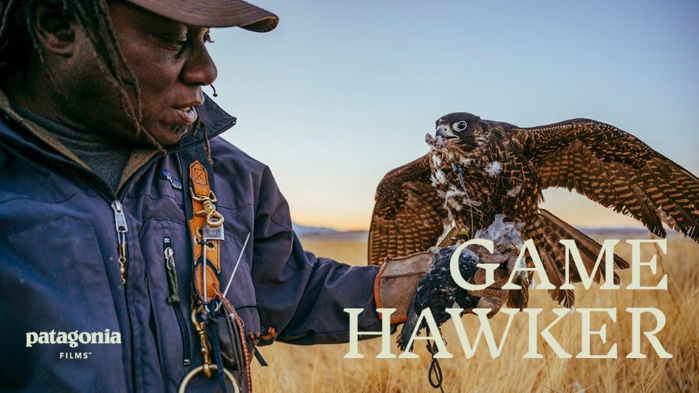 Short Film: ‘Game Hawker’ The Art Of Falconry (2022) | Boomers Daily