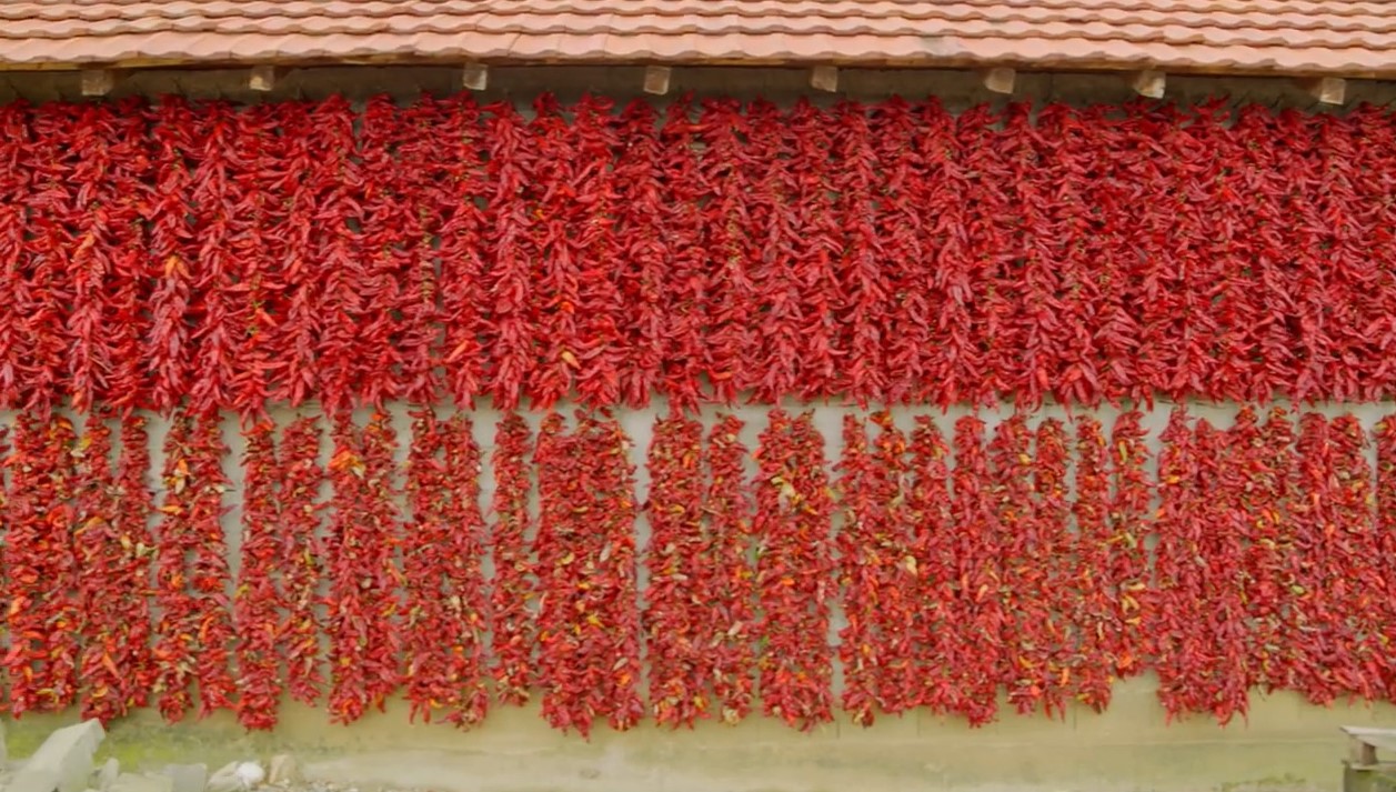 Harvests: Peppers Turn A Serbian Village ‘Crimson’ | Boomers Daily