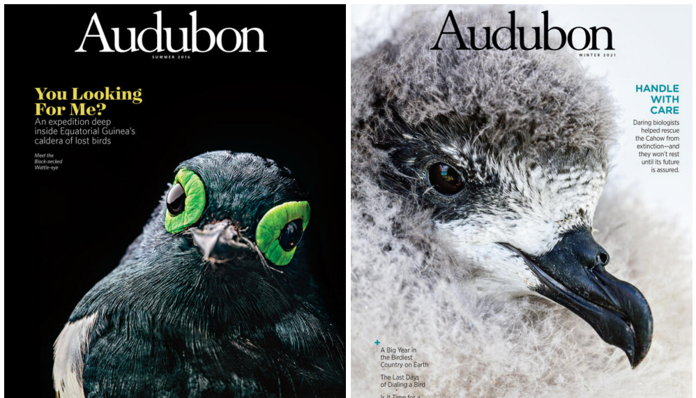 Cover Preview: Audubon Magazine – October 2022 | Boomers Daily