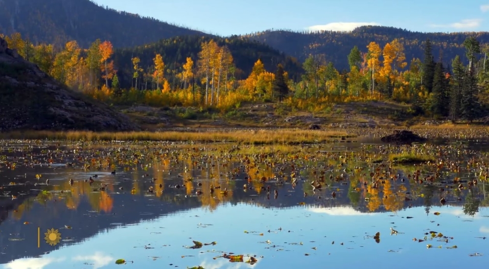 Views: San Juan National Forest In Colorado (CBS) | Boomers Daily