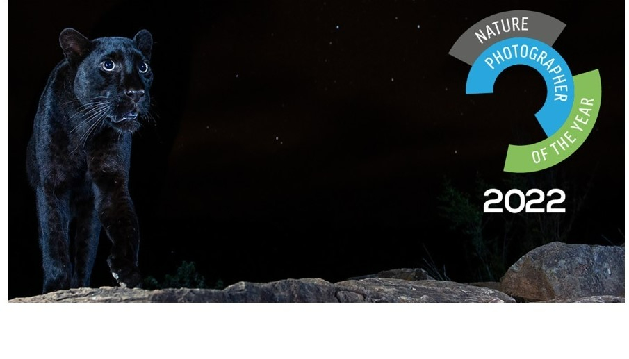 Winners: The 2022 Nature Photographer Of The Year | Boomers Daily