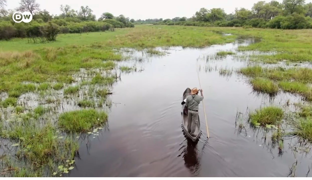 Safari Travel: Okavango Delta By Boat In Botswana | Boomers Daily