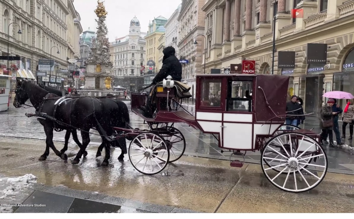 Winter 2023: A Walk In The Snow In Vienna, Austria | Boomers Daily