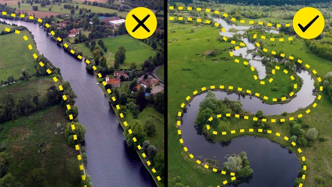 Restoration: How Rivers ‘Should Look’ In Nature | Boomers Daily