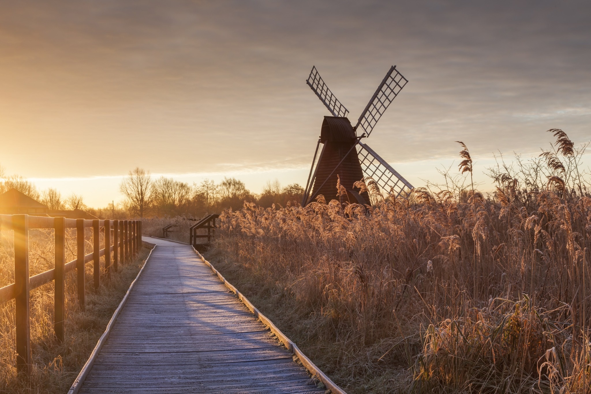 English Wetlands: Wicked Fen Nature Reserve Tour | Boomers Daily