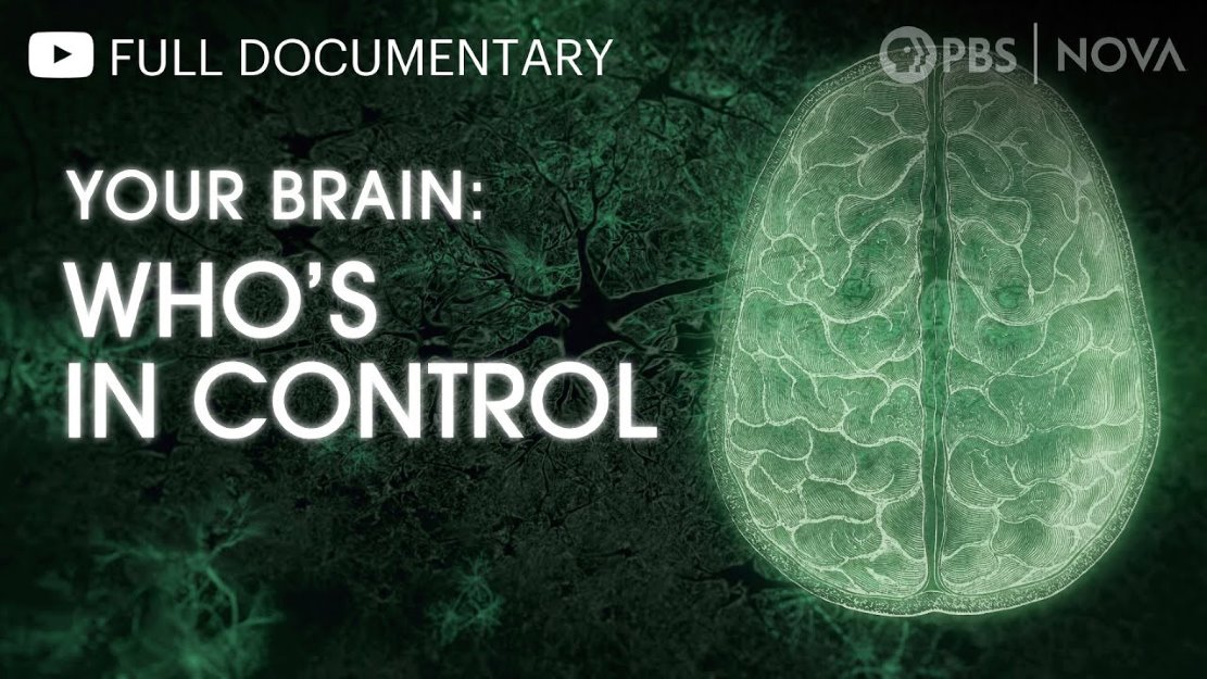 Documentary: ‘Your Brain – Who’s In Control’ (NOVA) | Boomers Daily