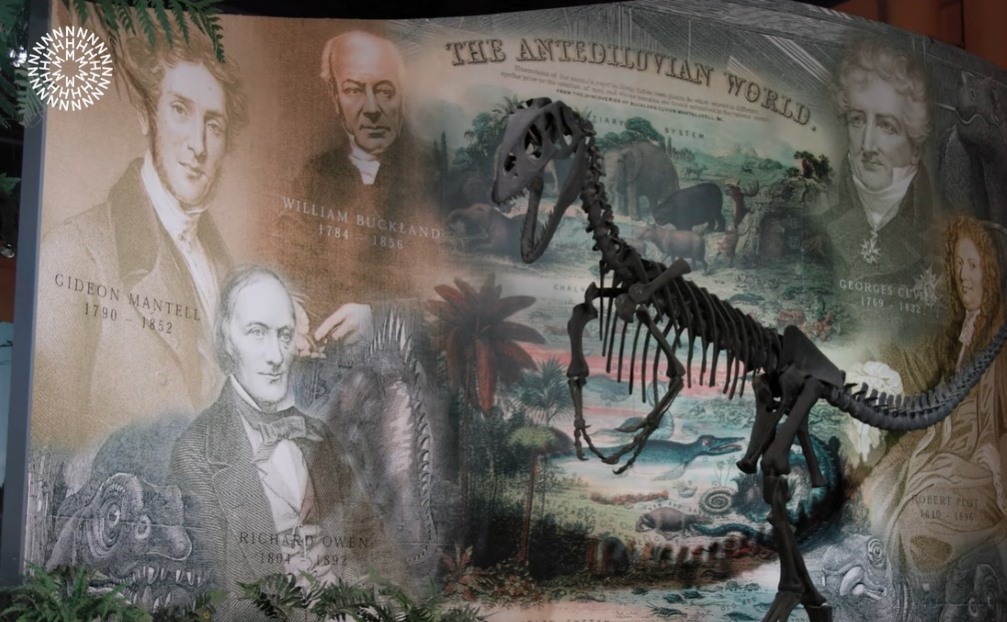 Museum Views: The Isle Of Wight – Dinosaur Island | Boomers Daily