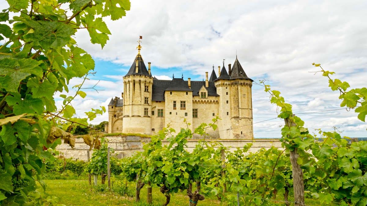 Travel: Grape Harvest In The Loire Valley, France | Boomers Daily