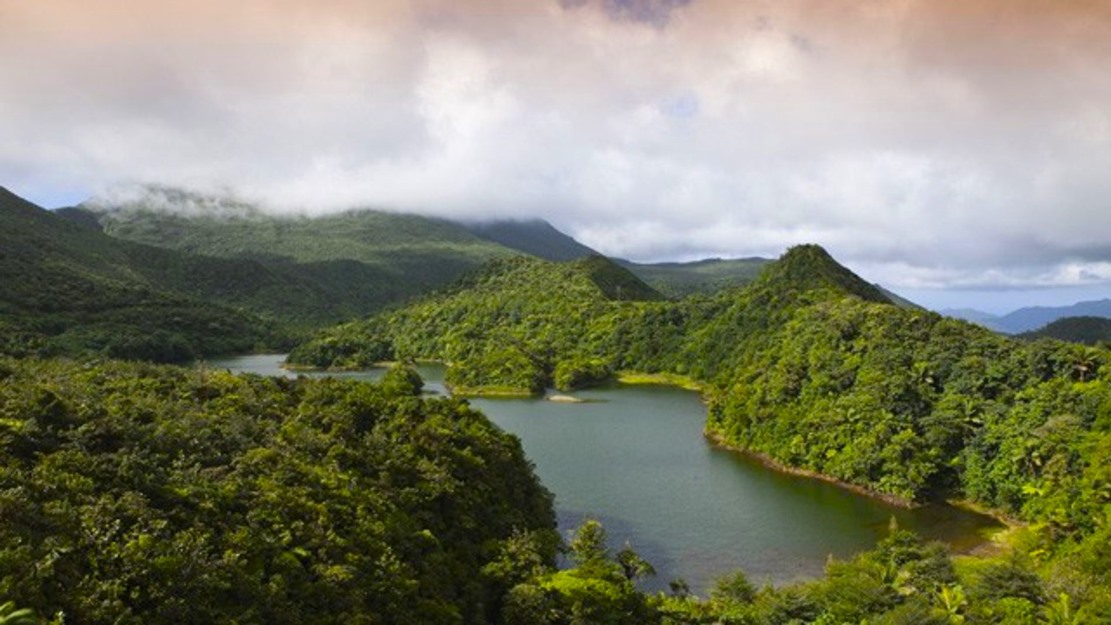 Caribbean Tour: Dominica – The Nature Island (2023) | Boomers Daily