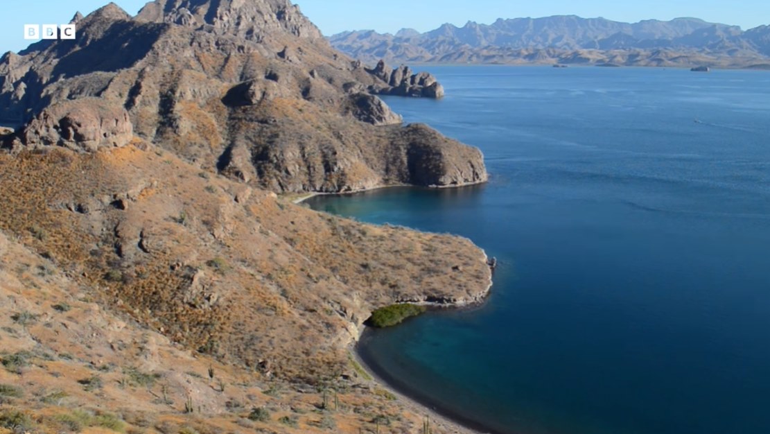 Baja California Desert