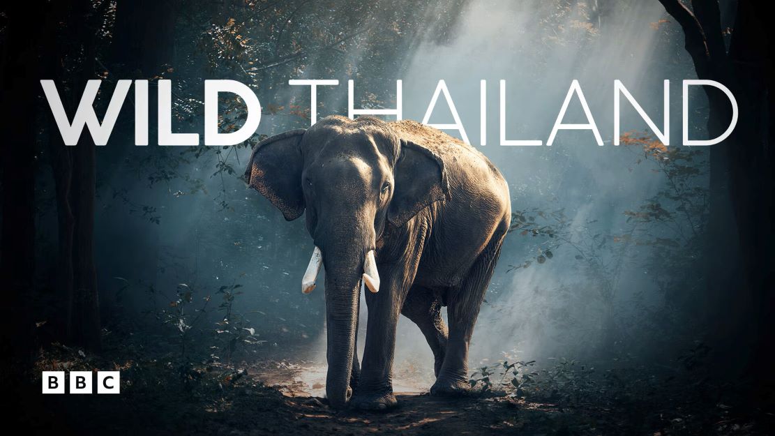 Nature Documentaries: “Wild Thailand” (BBC) | Boomers Daily